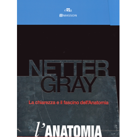 Netter Gray L Anatomia La Chiarezza E Il Fascino Dell Anatomia
