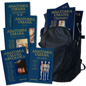 Anatomy Bag Plus: Trattato di anatomia umana-Anatomia topografica-Atlante di anatomia umana. Con ...